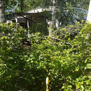 Stephenfield Provincial Park - Stephenfield Campground - Carman ...